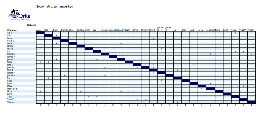 Sociomatrix - Groepsvorming